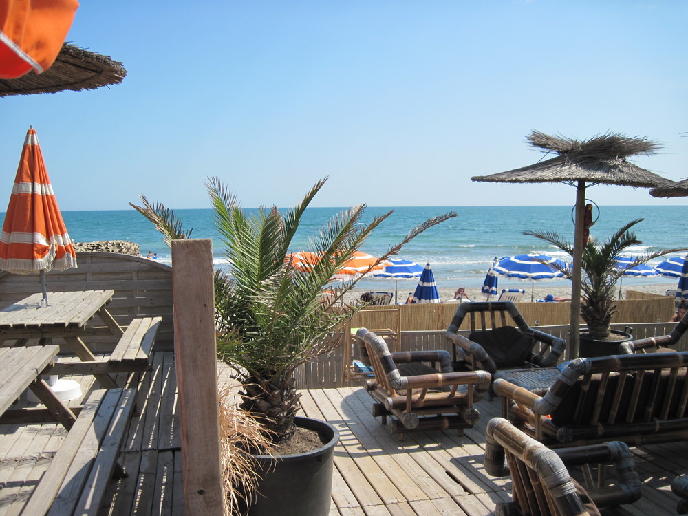 Bambou Palm Beach Photos